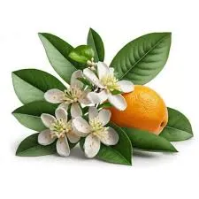 Fragrance 10ml fleur d'oranger | Herboristerie Alara - Ath